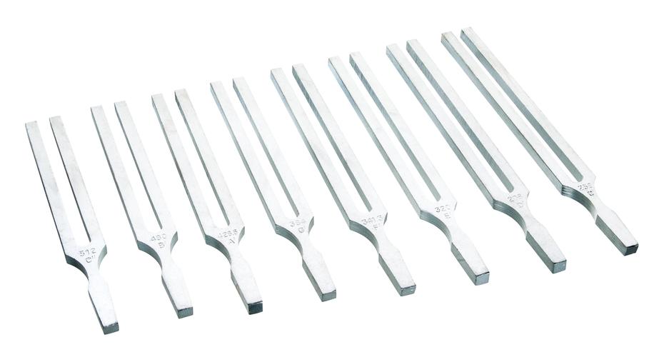 Buy Tuning Forks, Frequency 384Hz - Aluminum - Eisco Labs Online | STEM ...