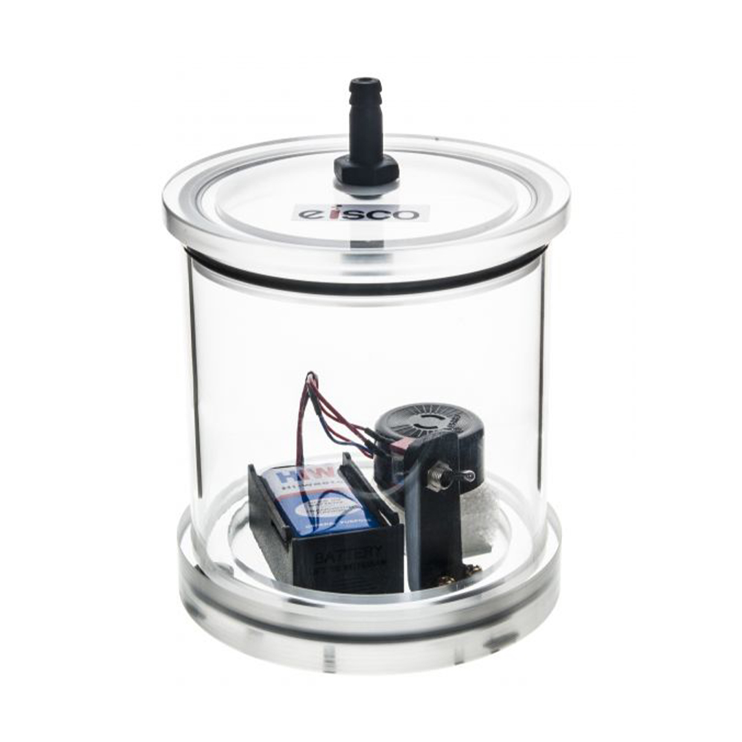 Buy All Inclusive Buzzer In A Vacuum Jar Kit Online | Science Equipment ...