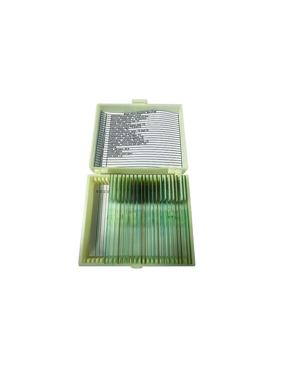 Microscope Slide Set - Basic Plant Anatomy, Set of 20